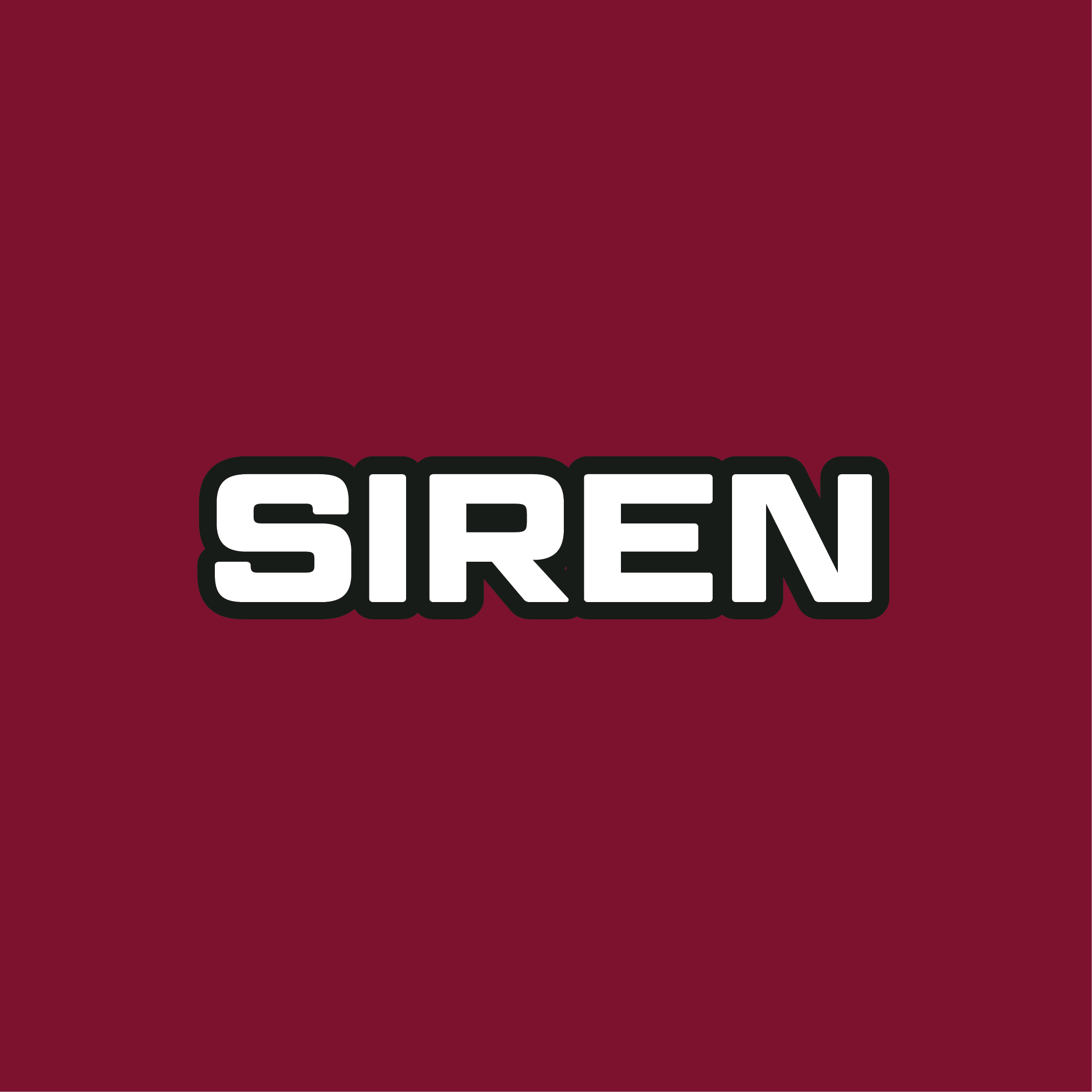 Concert Photography and Visual Portfolio | Siren